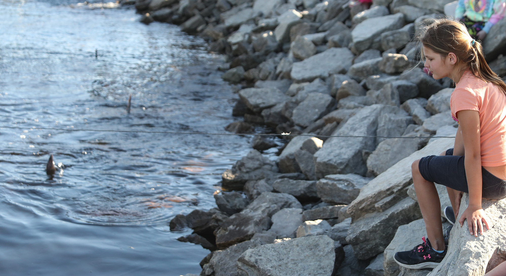 PHOTOS: Sturgeon Spawning on the Wolf River in Shiocton - KFIZ News ...