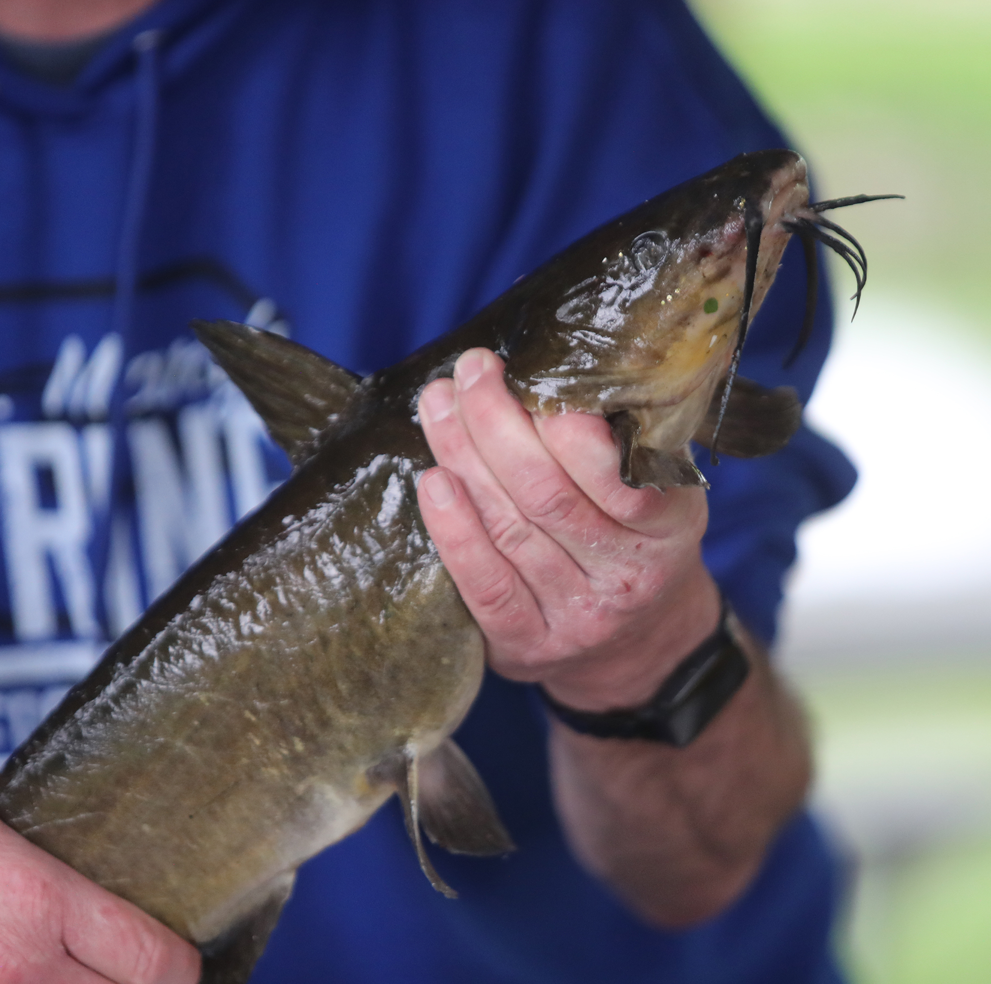 PHOTOS: Walleye Weekend Family Fishing Tournament 2024 - KFIZ News-Talk ...