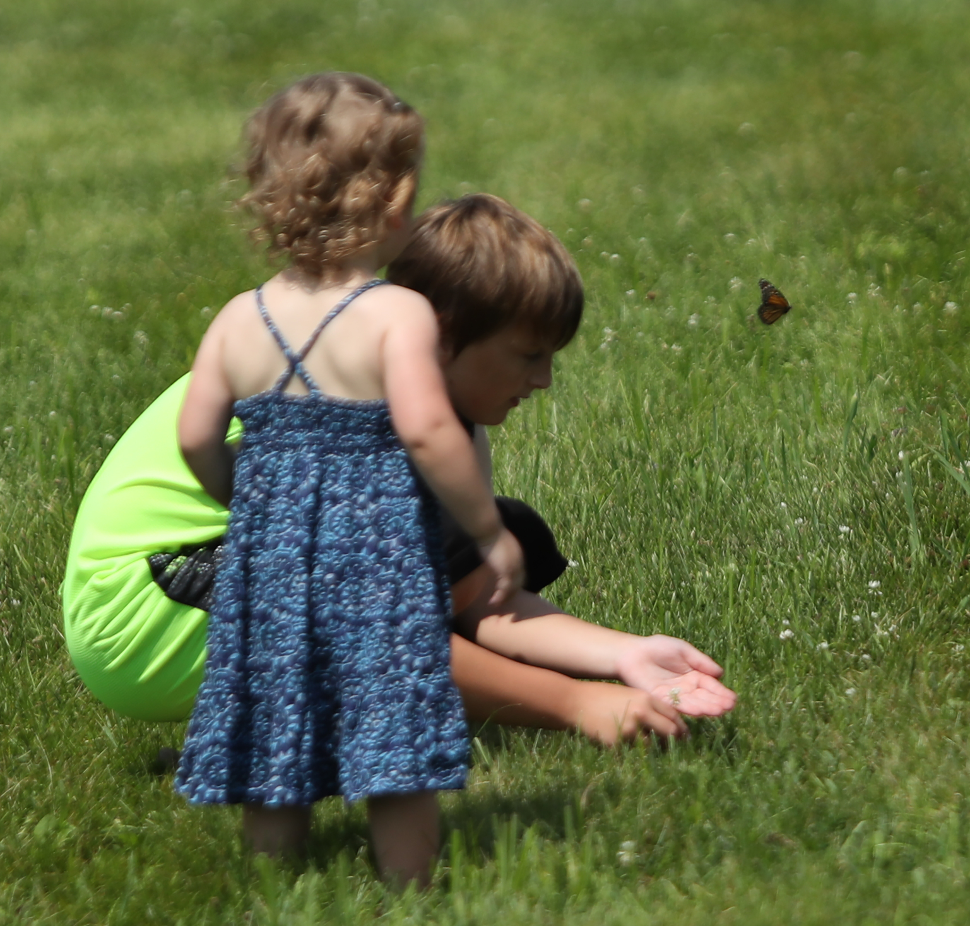 Monarch butterfly release at Prairie Fest 2024 - KFIZ News-Talk 1450 AM