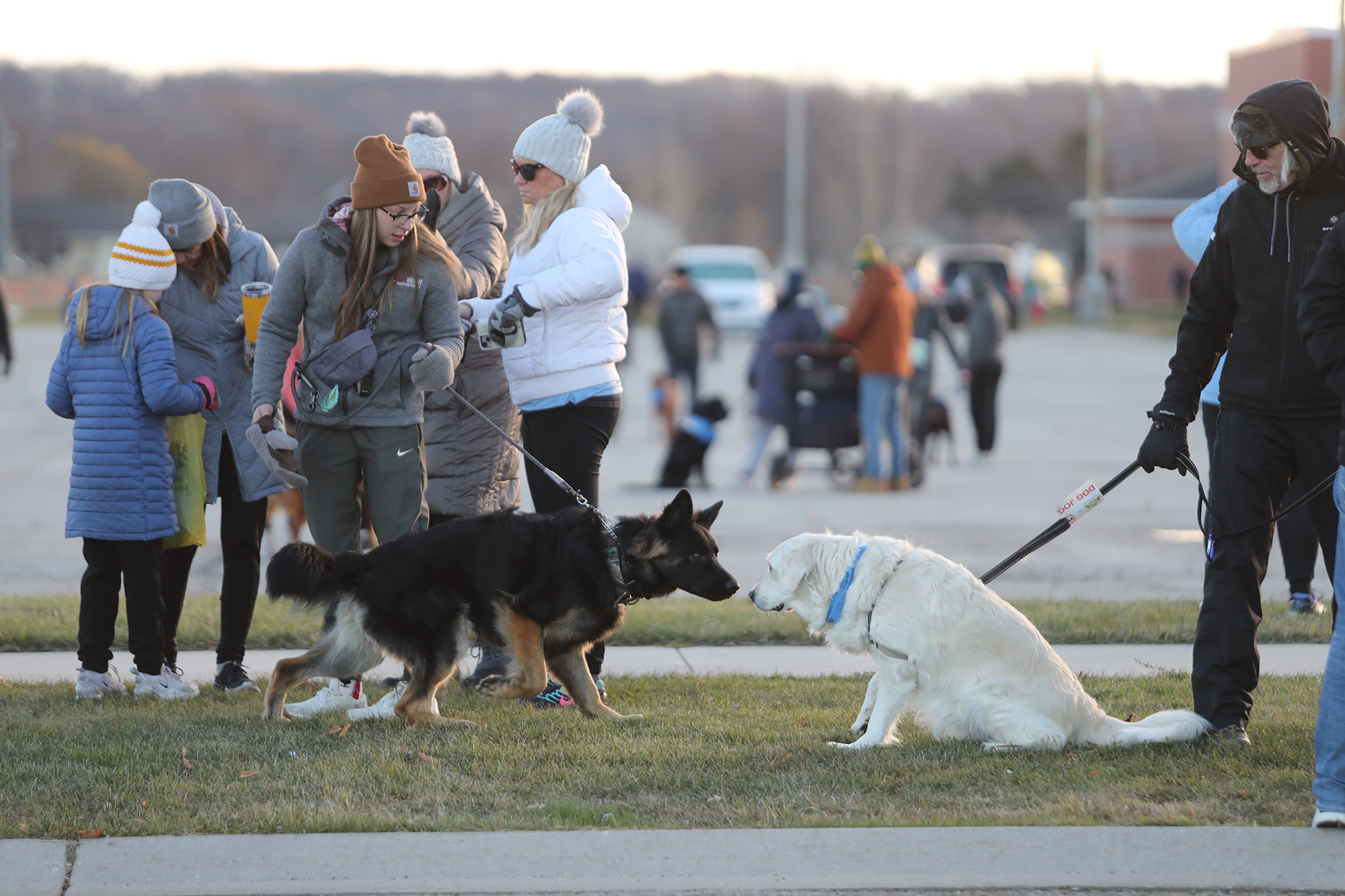 PHOTOS: 2024 Fond du Lac Turkey Trot run/walk/dog jog - KFIZ News-Talk ...