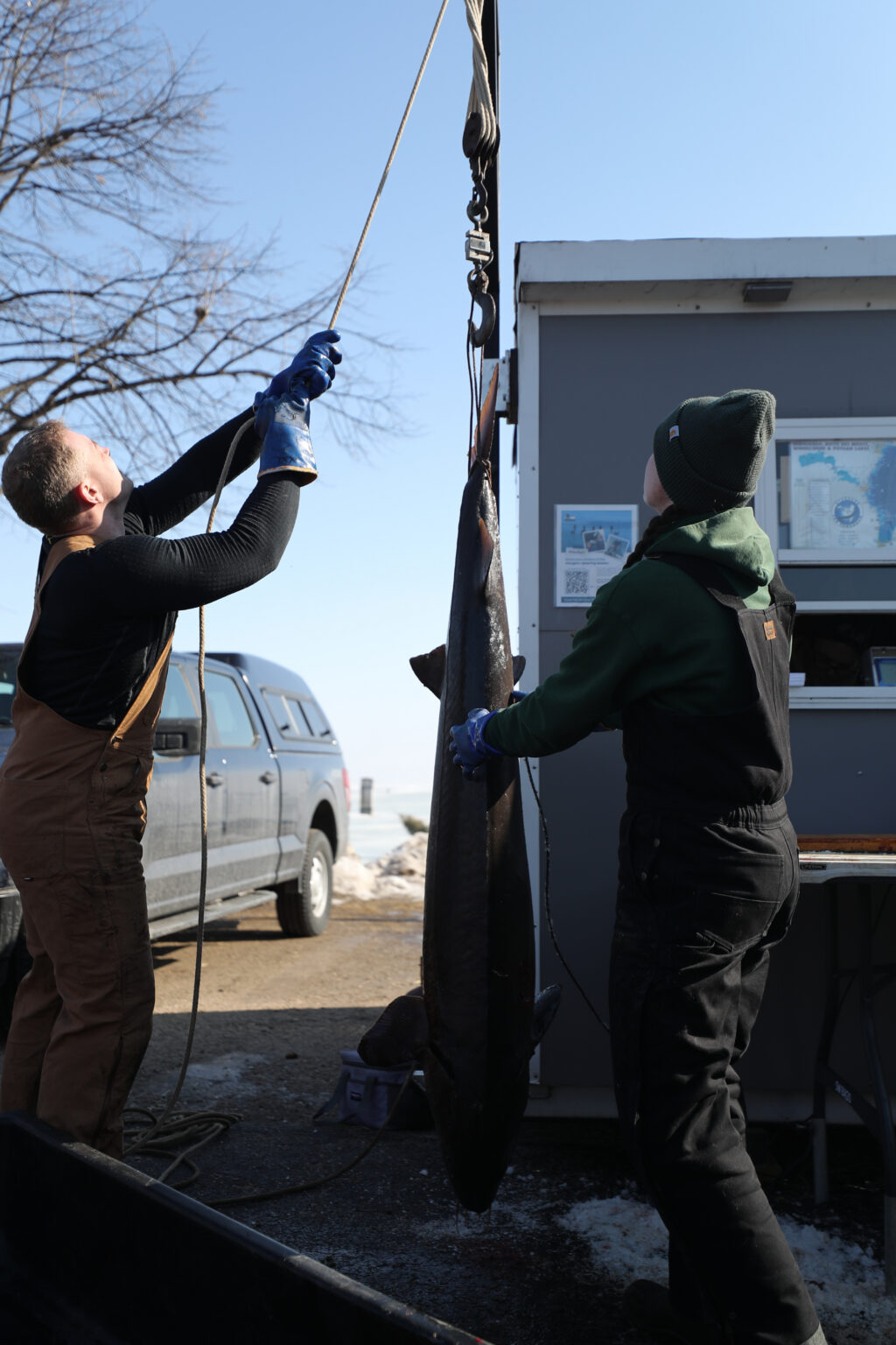 Photos: Sturgeon Spearing - Opening day 2026 - KFIZ News-Talk 1450 AM